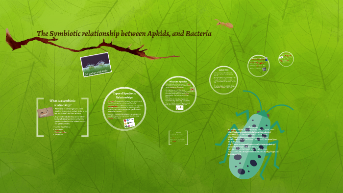 Symbiotic Relationships by Jordan Acheampong on Prezi