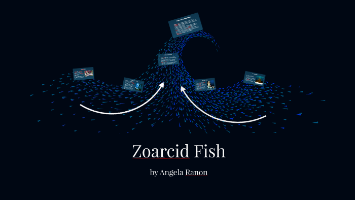 Zoarcid Fish by Angela Ranon on Prezi