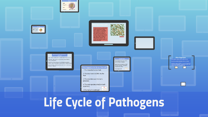 SNC4M - Life Cycle of Pathogens by David Corcoran on Prezi