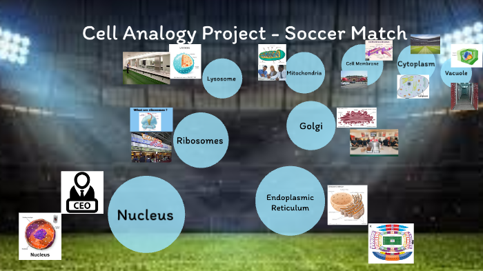 Cell Analogy Project by Maximus Sunio on Prezi