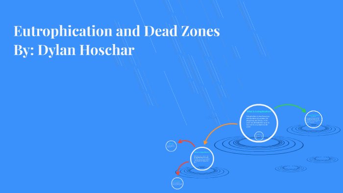 Eutrophication and Dead Zones by Dylan Hoschar
