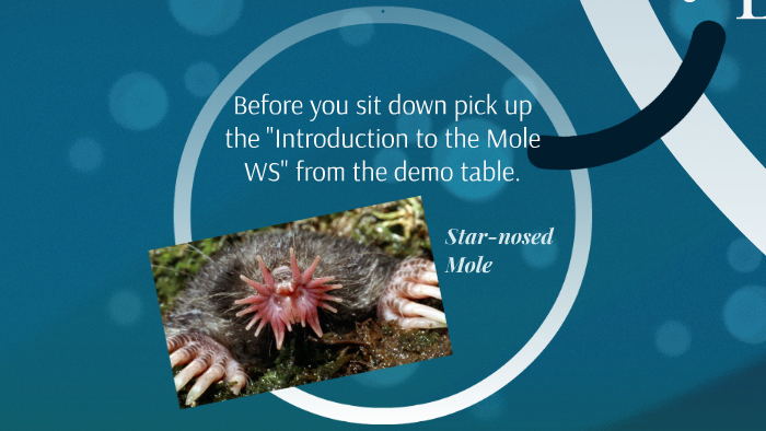 Chapter 10: Introduction to the Mole by Sydney Sturgeon
