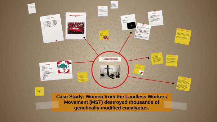 Case Study: Women from the Landless Workers Movement (MST) d by valdeir ...