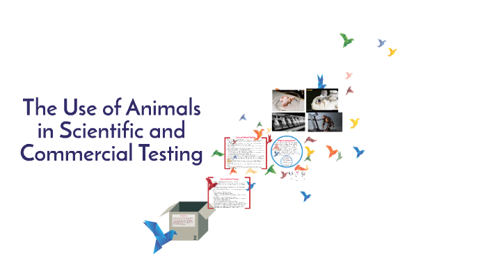 The Use of Animals in Scientific and Commercial Testing by Terrah ...