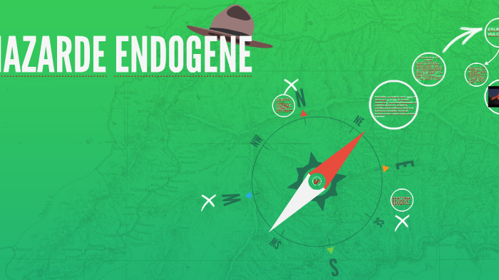 HAZARDE ENDOGENE by Rosu Andra on Prezi