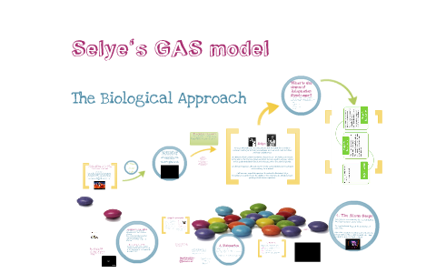 Stress: Selye's GAS model by Rose Cummins on Prezi