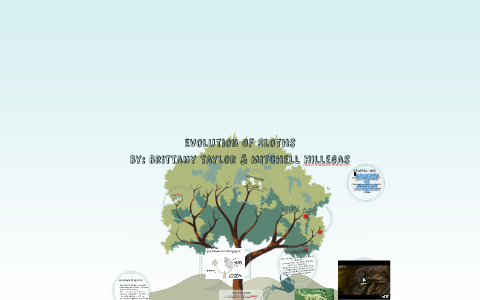 Evolution Of Sloths by Mitch Hillegas