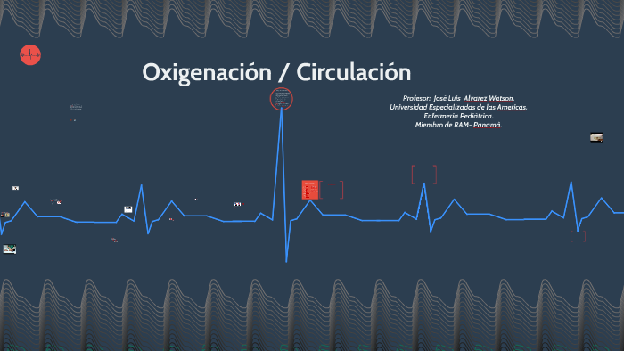 OXIGENACIÒN / CIRCULACIÒN by jose Alvares on Prezi