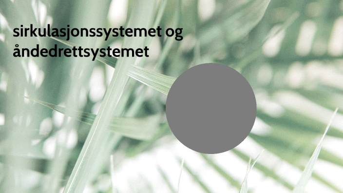 sirkulasjonssystemet og åndedrettsystemet by Henriette Lysaker on Prezi