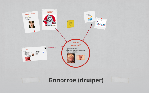 Gonorroe (druiper) by Margaux Lever on Prezi