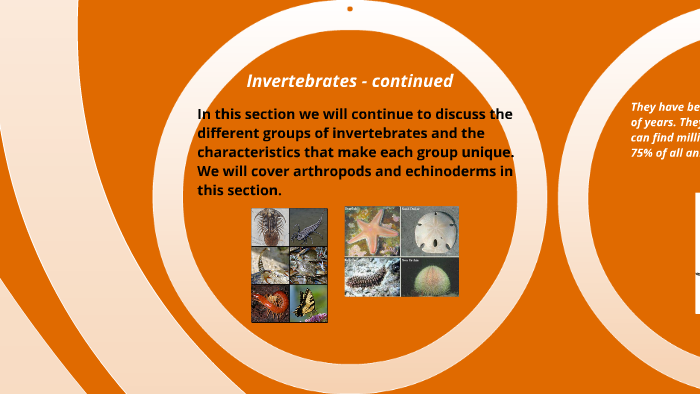 Invertebrates Part 2 by Robert Williford on Prezi