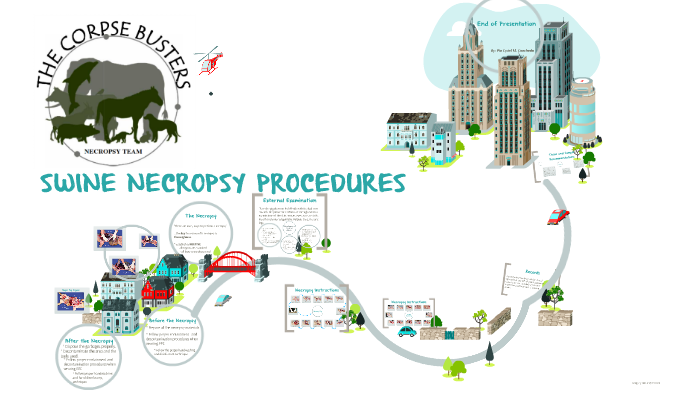 SWINE NECROPSY PROCEDURES by Pye Conchada on Prezi