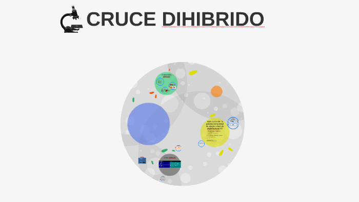 CRUCE DIHIBRIDO by IK DAVID RODRIGUEZ BETANCUR on Prezi