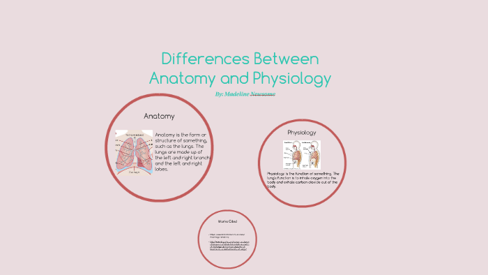 Differences Between Anatomy and Physiology by Madeline Newsome on Prezi
