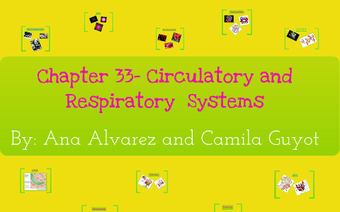 Chapter 33- Circulatory and Respiratory Systems by Camila Guyot on Prezi