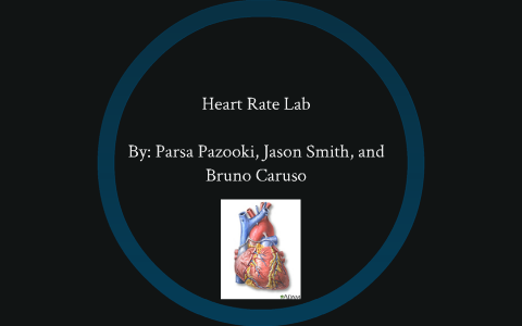 Heart Beat Lab by Parsa Pazooki