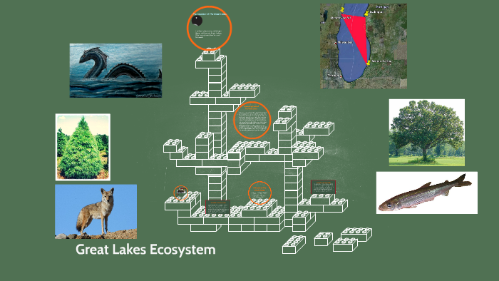 Great Lakes Ecosystem by Diego Hernandez-Ramirez on Prezi