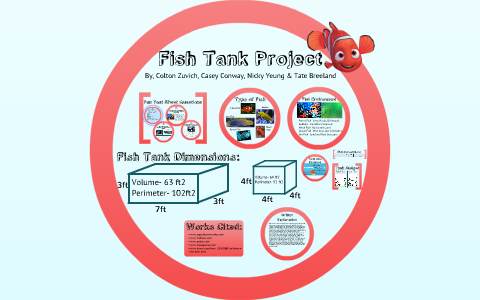 Geometry - Fish Tank Project by C Z on Prezi