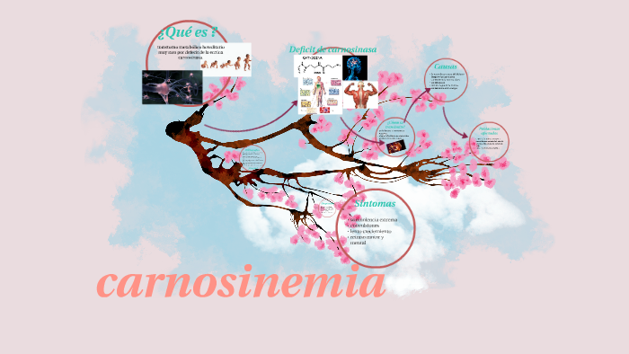 carnosinasa by Rafael Guillen on Prezi