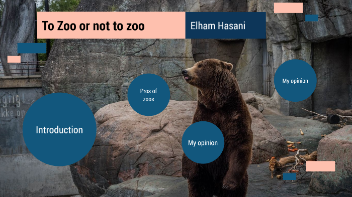To zoo or not to zoo by Elham Hasani on Prezi