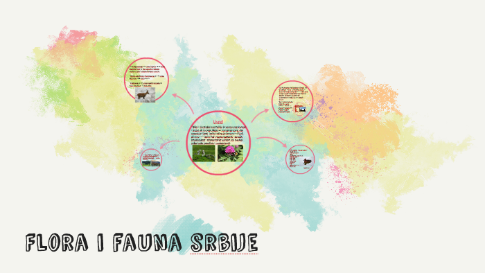 Flora i fauna srbije by Strahinja Stanimirovic on Prezi