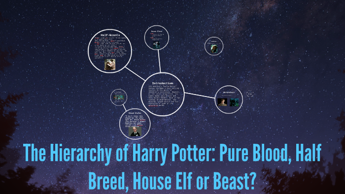 The Hierarchy of Harry Potter: Pure Blood, Half Breed, House by Nicole ...