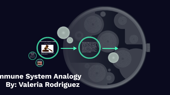 Immune System Analogy by Valeria Rodrguez