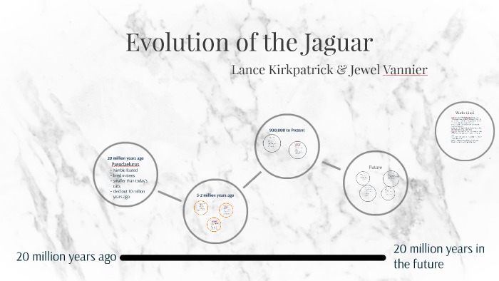 Evolution of the Jaguar by Lance Kirkpatrick on Prezi