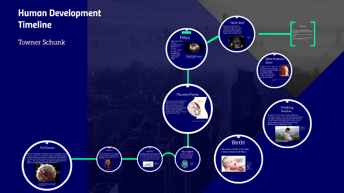 Human Development Timeline by Towner Schunk on Prezi