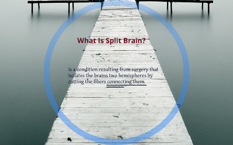 Behavior After Split-brain surgery by Alexsys McClellan on Prezi