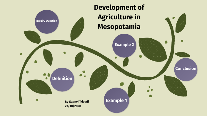 Development of Agriculture in Mesopotamia by saanvi trivedi on Prezi