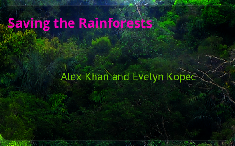 Saving the Rainforests Alex Khan and Evelyn Kopec by Alex Khan on Prezi