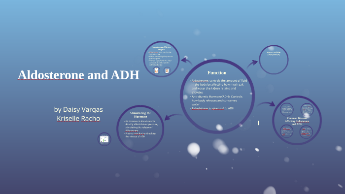 Aldosterone and ADH: Dehydration by Daisy Vargas on Prezi
