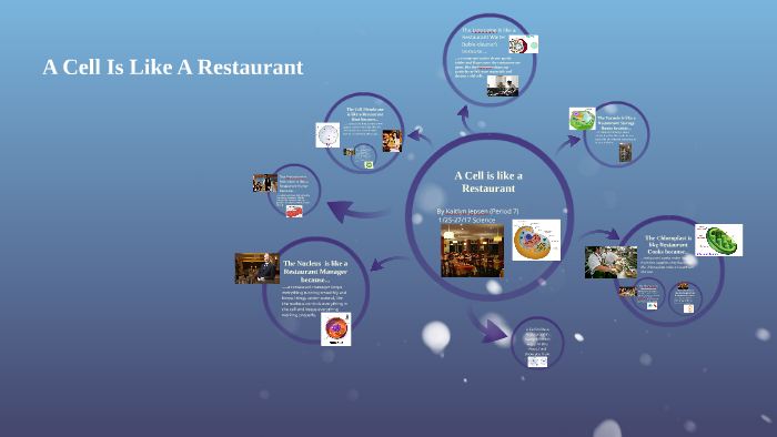 A Cell is like a Restaurant by kaitlyn jepsen