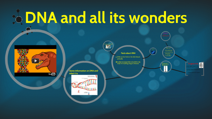DNA and all its wonders by los buretos on Prezi