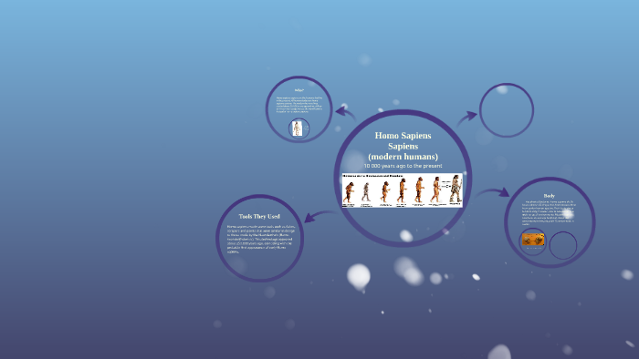 Homo Sapiens Sapiens (modern humans) by Amreen Dhillon on Prezi