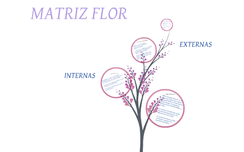 MATRIZ FLOR by Hector alfonso Ospina Vasquez on Prezi