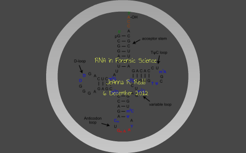 RNA IN FORENSIC SCIENCE by JeAnna Redd on Prezi