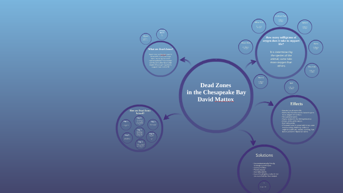 Dead Zones in the Chesapeake Bay by David Mattox on Prezi