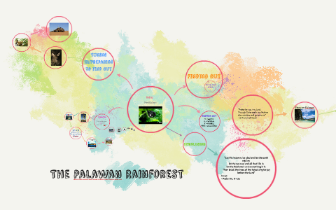 the PAlawan Rainforest by Isabella C on Prezi