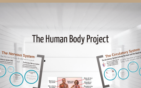 Human Body Project by Kaitlyn Gibson on Prezi