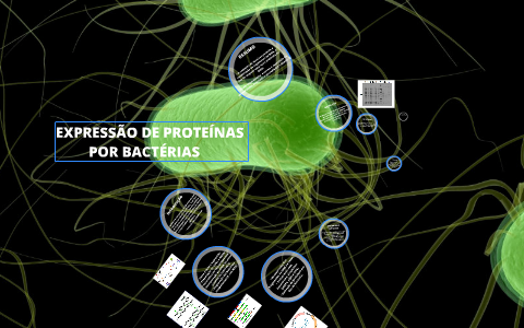 BBBBBBBBBBBBBBBBBBBBBBB by Amanda Piffer on Prezi