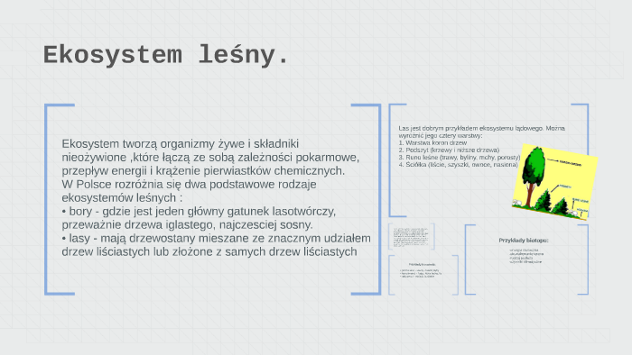 Ekosystem leśny. by Jakub Kołecki on Prezi