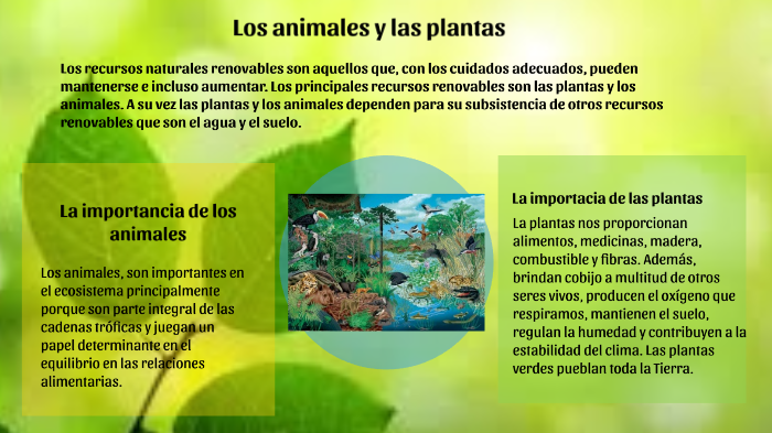 Presentación los animales y las plantas by Alfredo Vasco on Prezi