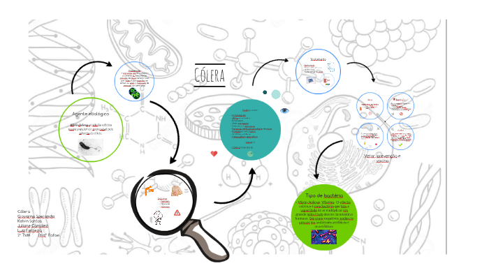 Cólera by Giovanna Sperandio on Prezi