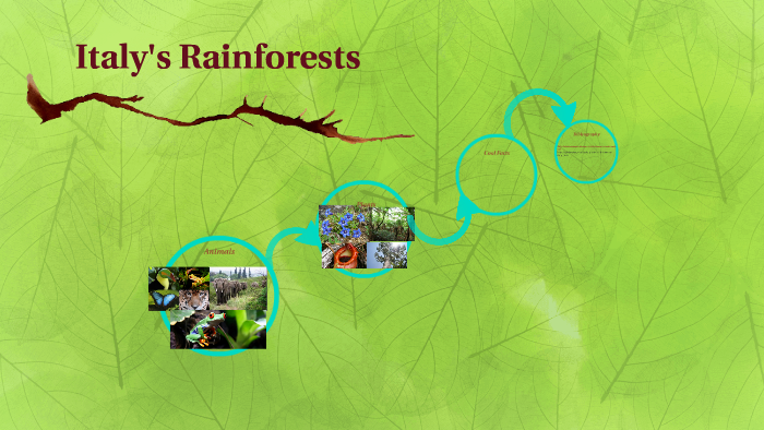Italy's Rainforests by Madison Trawick on Prezi