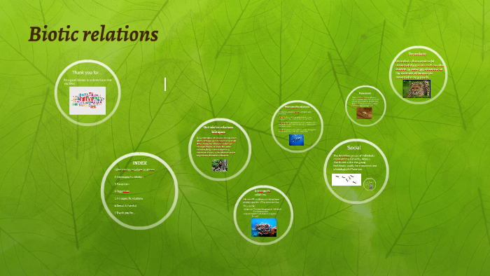 What are biotic relations ? by Toni Martinez on Prezi