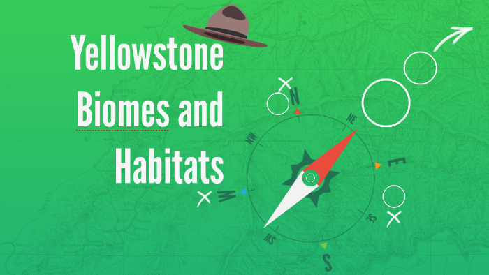 Yellowstone Biomes and Habitats by Mia Rodriguez on Prezi