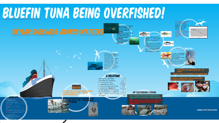 BLueFin Tuna overfished! by skylar saechao on Prezi