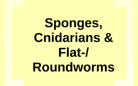 Review Sponges, Cnidarians, Flat-/Roundworms by Janine Cable on Prezi
